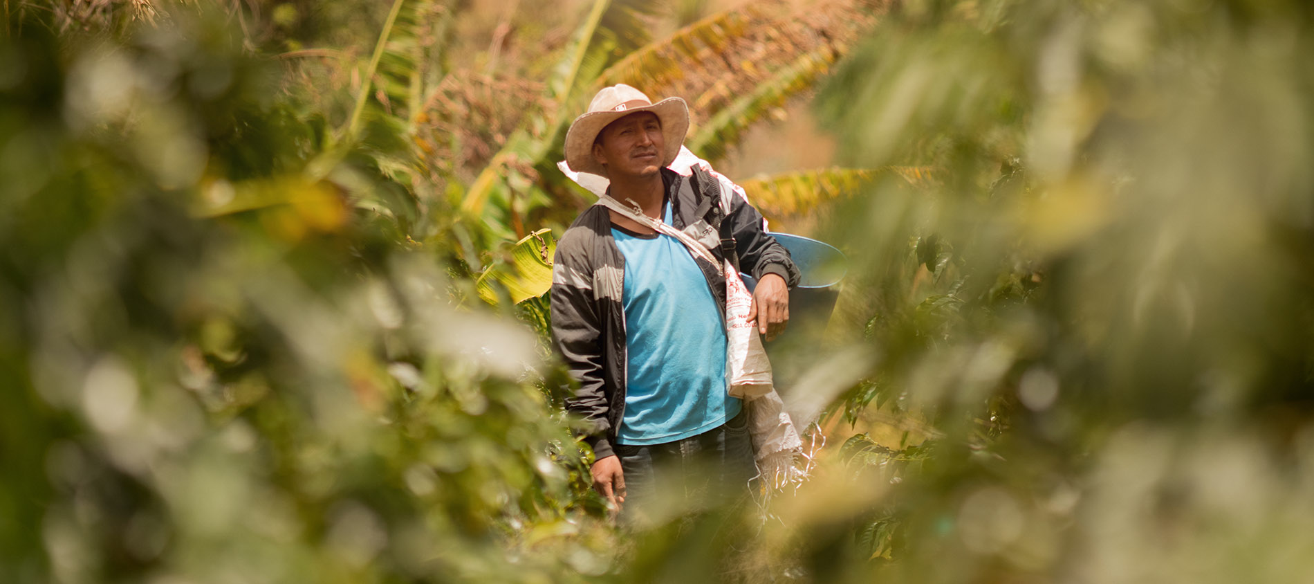 Novedades – LETERAGO